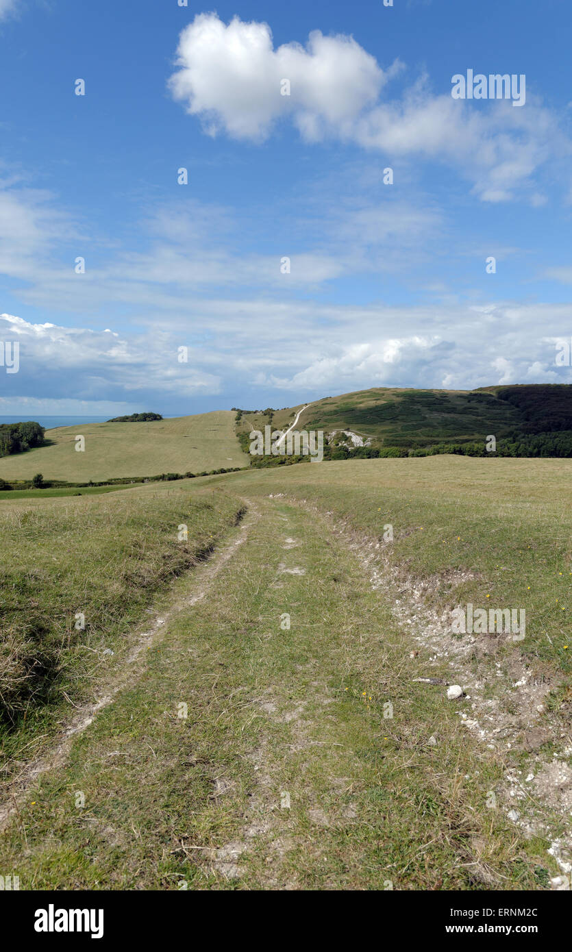 Tennyson Trail, Mottistone Down, Isle of Wight, England, UK, GB Stock ...