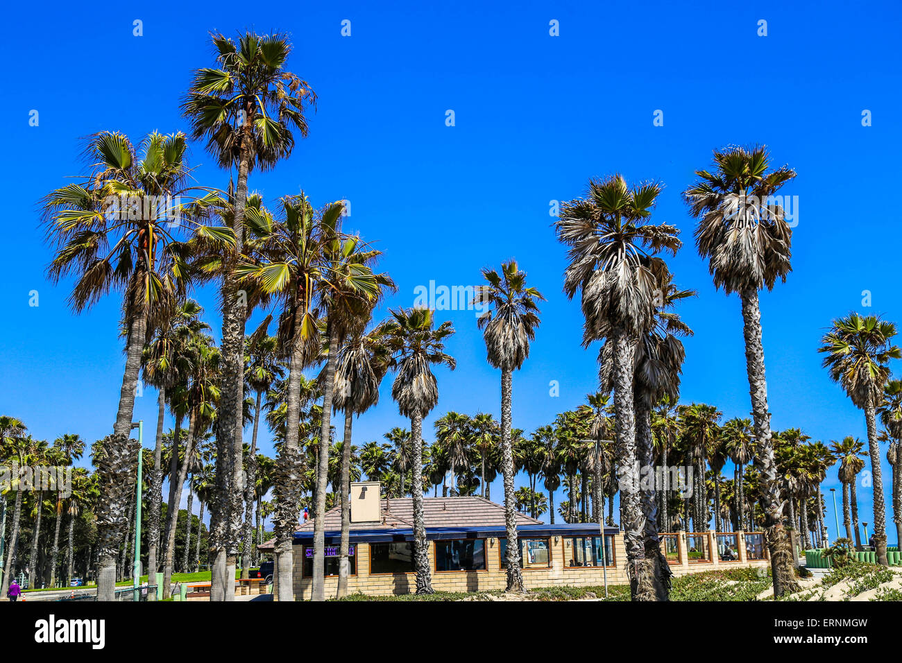 Summer in California Stock Photo - Alamy