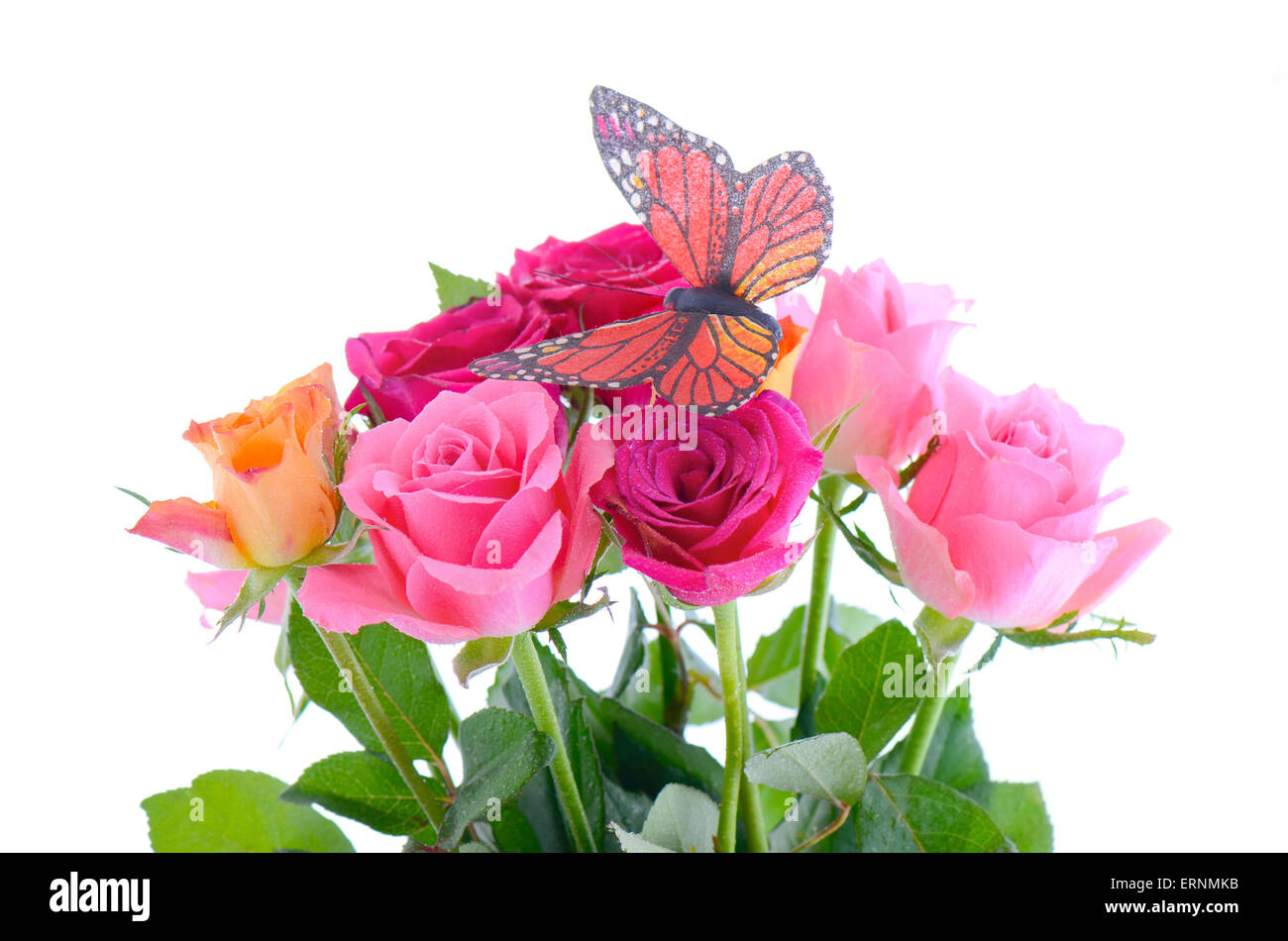 Monarch Butterflies On Roses