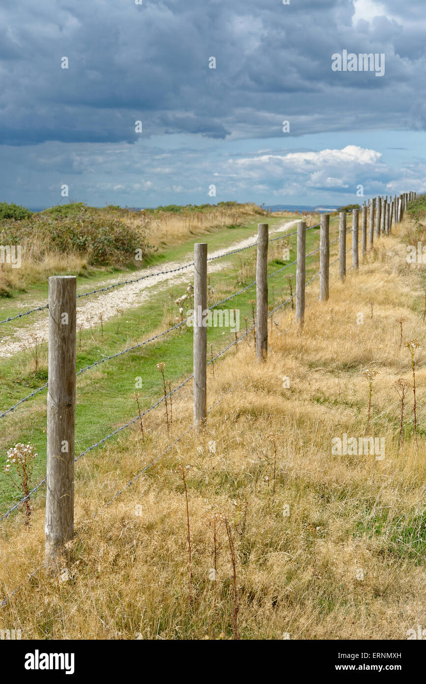 Tennyson Trail, Mottistone Down, Isle of Wight, England, UK, GB Stock ...