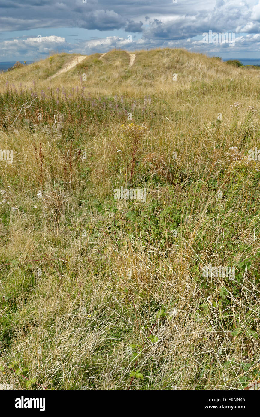 Burial mounds isle of wight hi-res stock photography and images - Alamy