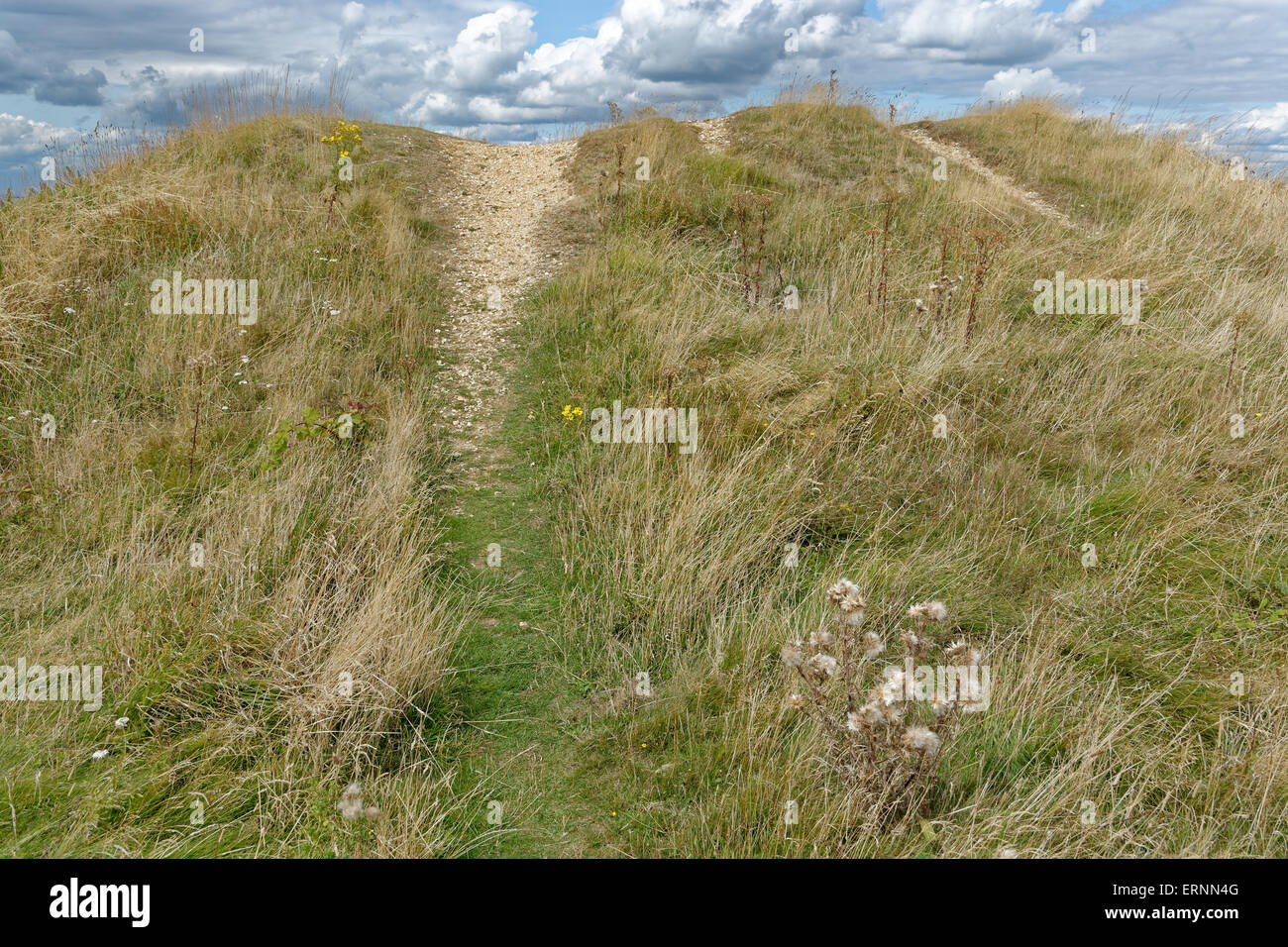 Round Barrow, Mottistone Down, nr Mottistone, Isle of Wight, England ...