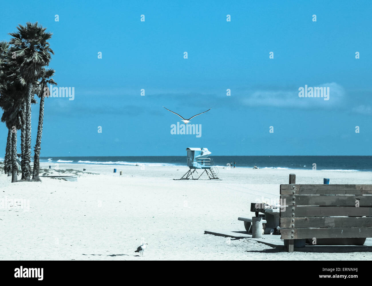 A Beach in Southern California - June 2015 Stock Photo - Alamy