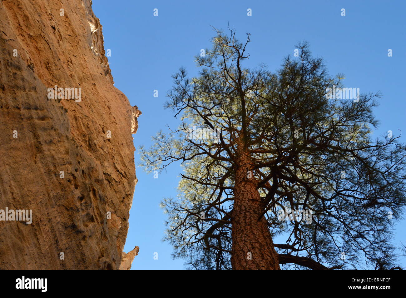 Tent rocks national monuments hi-res stock photography and images - Alamy