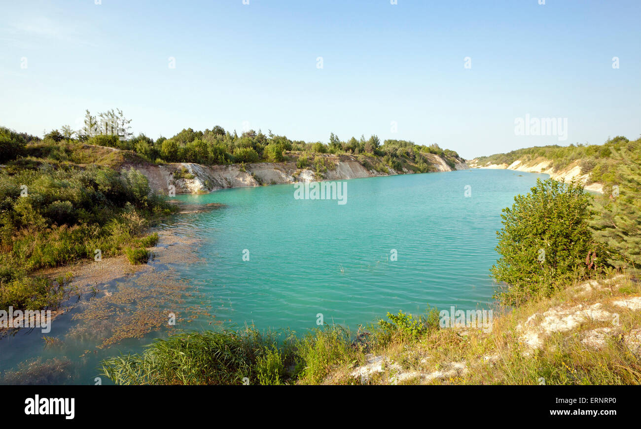 Cretaceous scene hi-res stock photography and images - Alamy