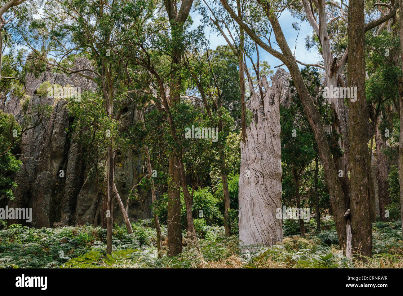 Hanging Rock (Mt. Diogenes) Recreation Reserve, Macedon Ranges ...