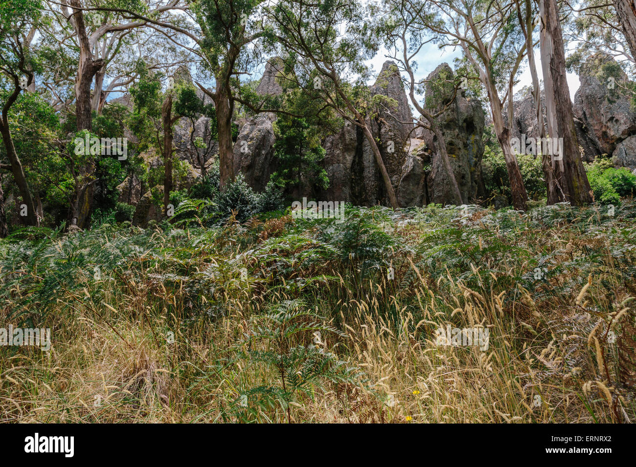 Hanging Rock (Mt. Diogenes) Recreation Reserve, Macedon Ranges ...