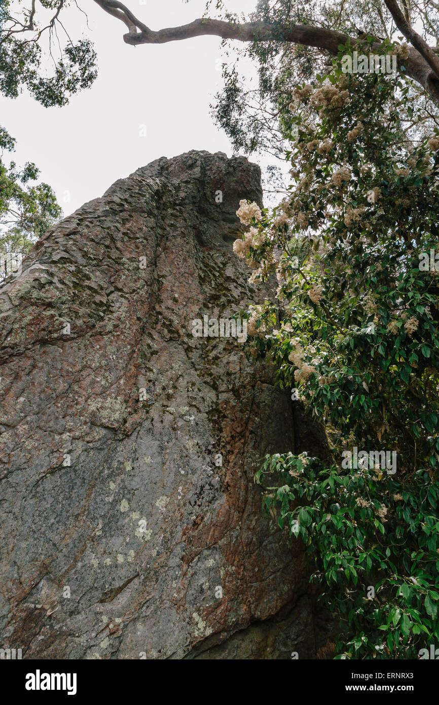 Hanging Rock (Mt. Diogenes) Recreation Reserve, Macedon Ranges ...