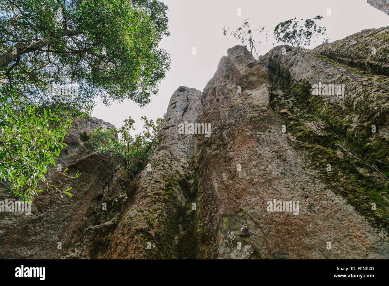 Hanging Rock (Mt. Diogenes) Recreation Reserve, Macedon Ranges ...