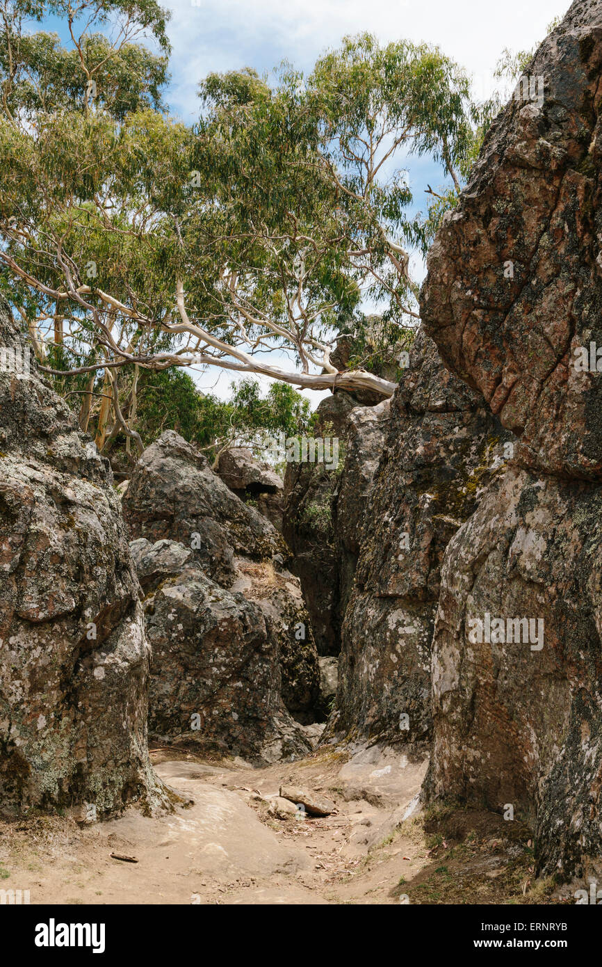 Hanging Rock (Mt. Diogenes) Recreation Reserve, Macedon Ranges ...