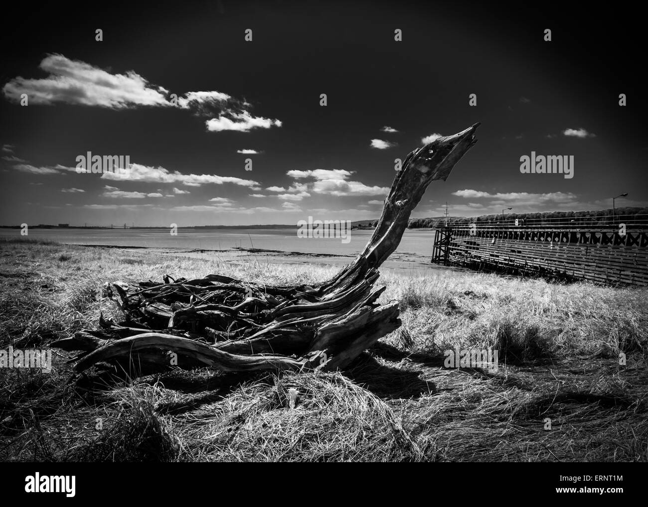 Broken down wooden pier on the Severn Estuary at Sharpness Stock Photo ...