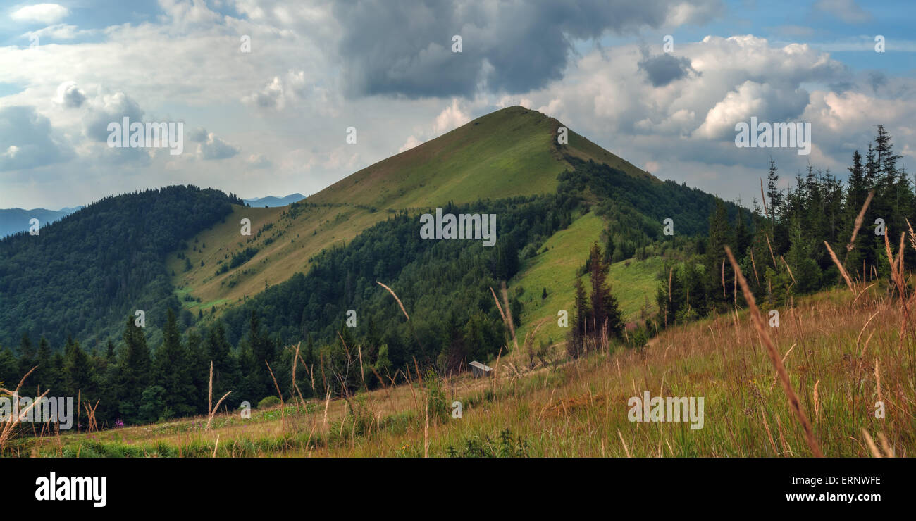 Carpathians mountain in summer time Stock Photo - Alamy