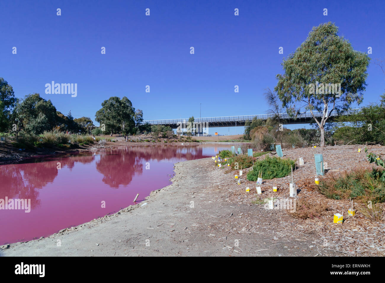 Pink Lake, Westgate Park, Port Melbourne, Melbourne, Victoria ...