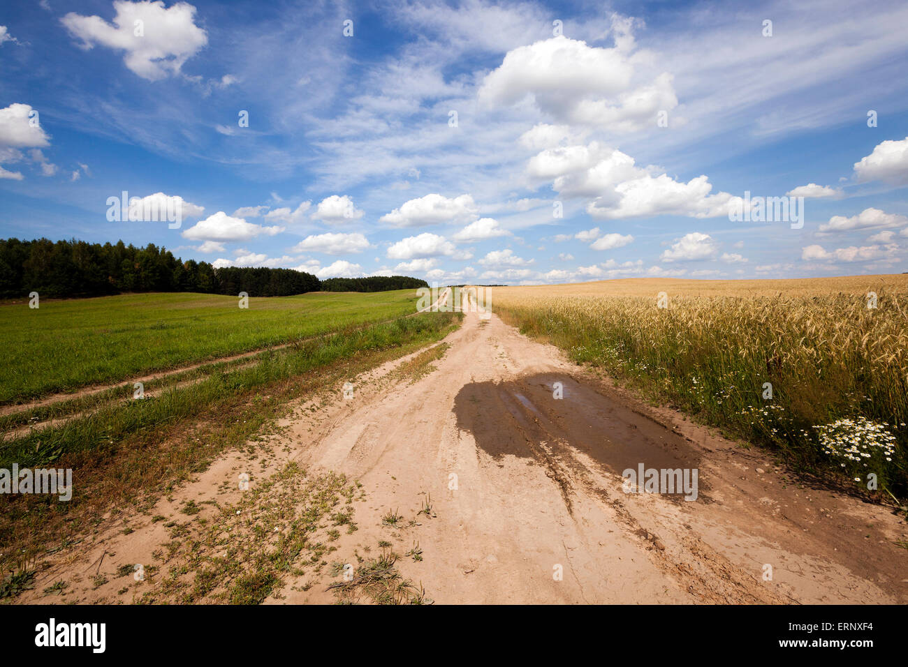 the rural road Stock Photo - Alamy