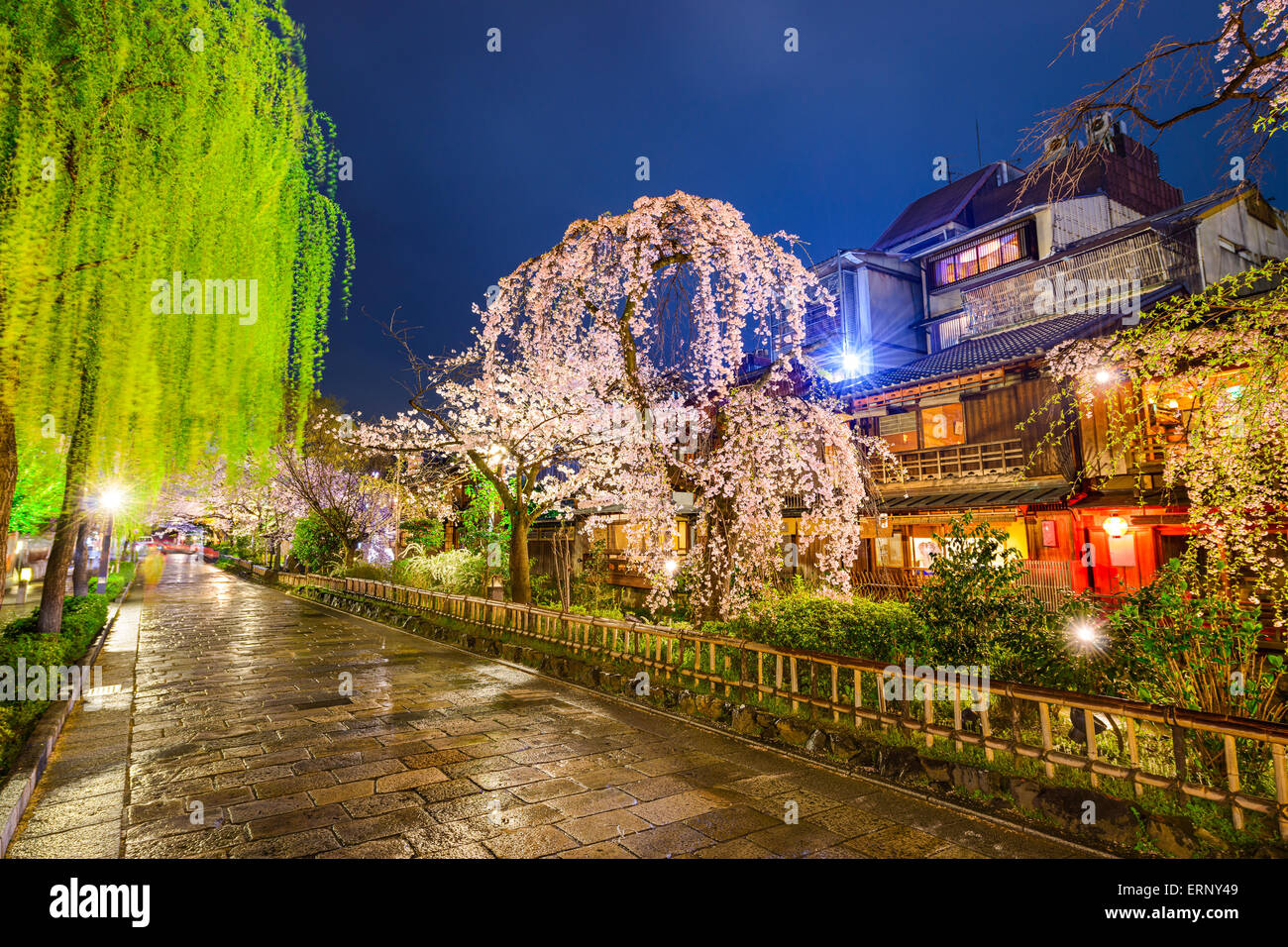 Kyoto, Japan at the historic Shirakawa District during the spring ...