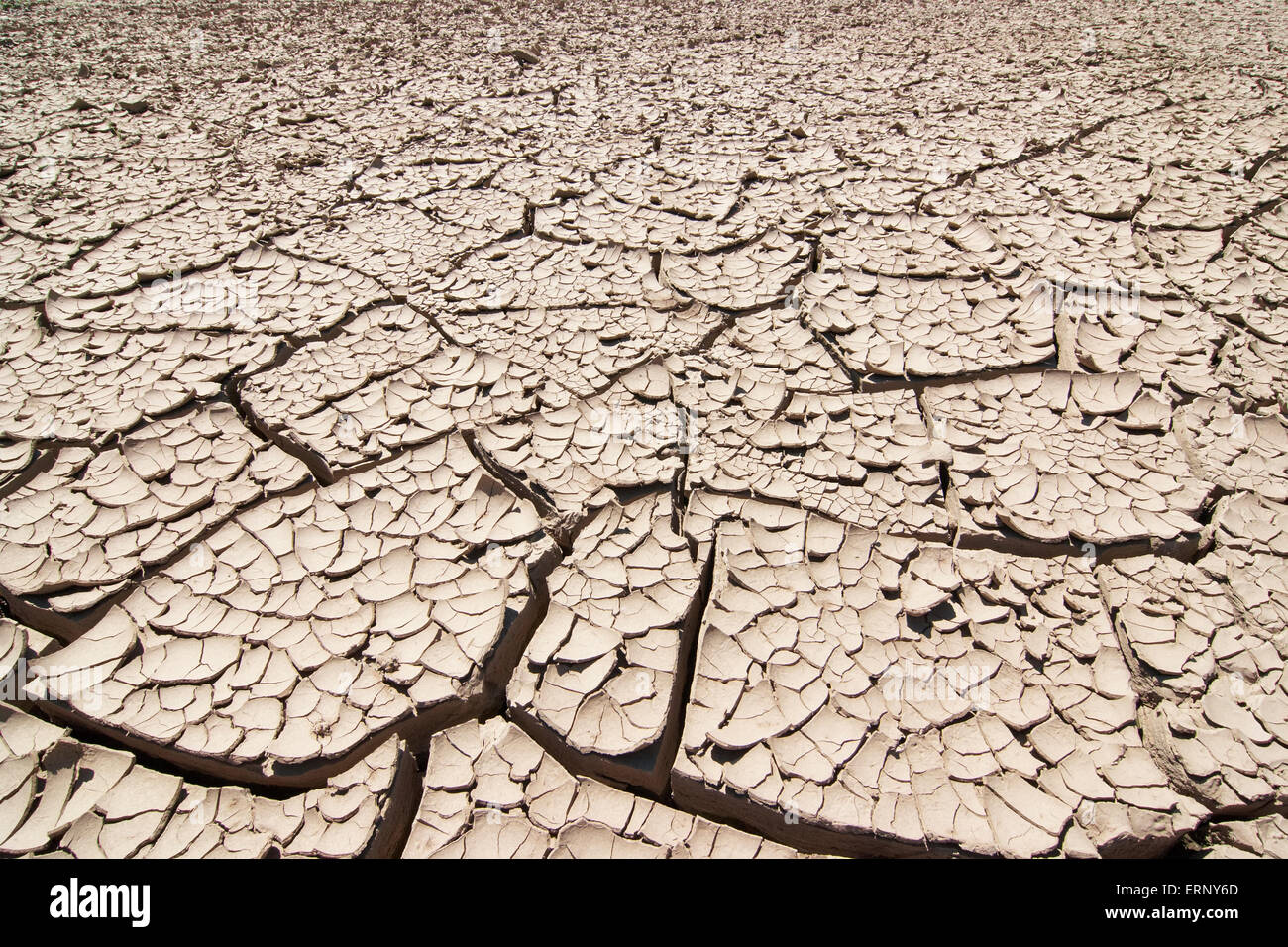 cracked ground - dry season Stock Photo - Alamy