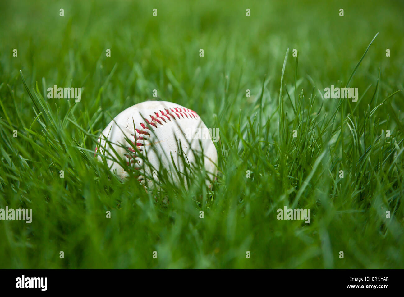 Baseball field grass hi-res stock photography and images - Alamy