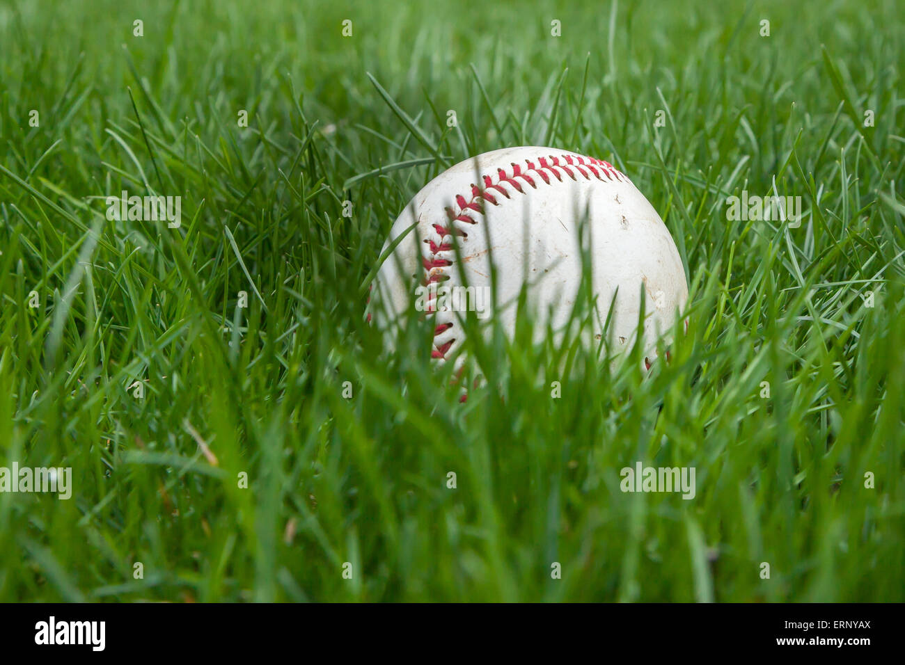 Baseball field grass hi-res stock photography and images - Alamy
