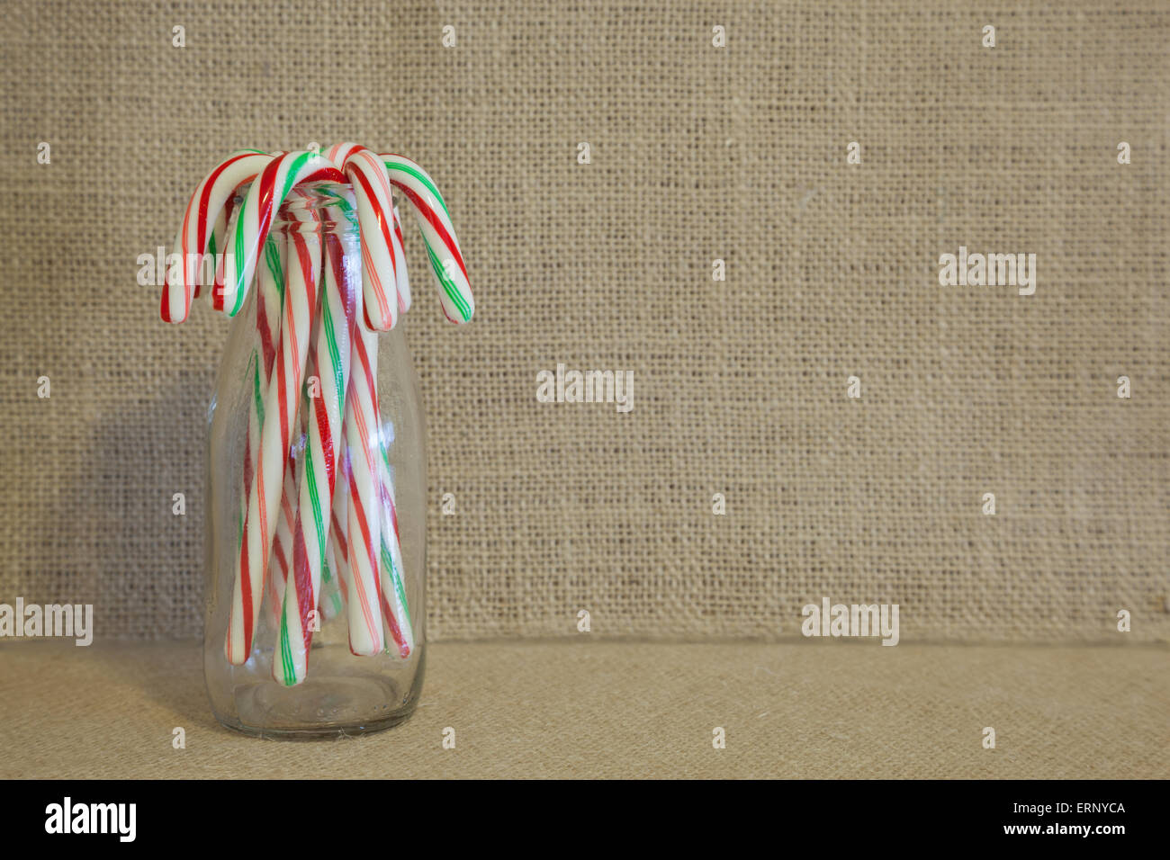 Several candy canes sit inside a milk bottle on a burlap background ...