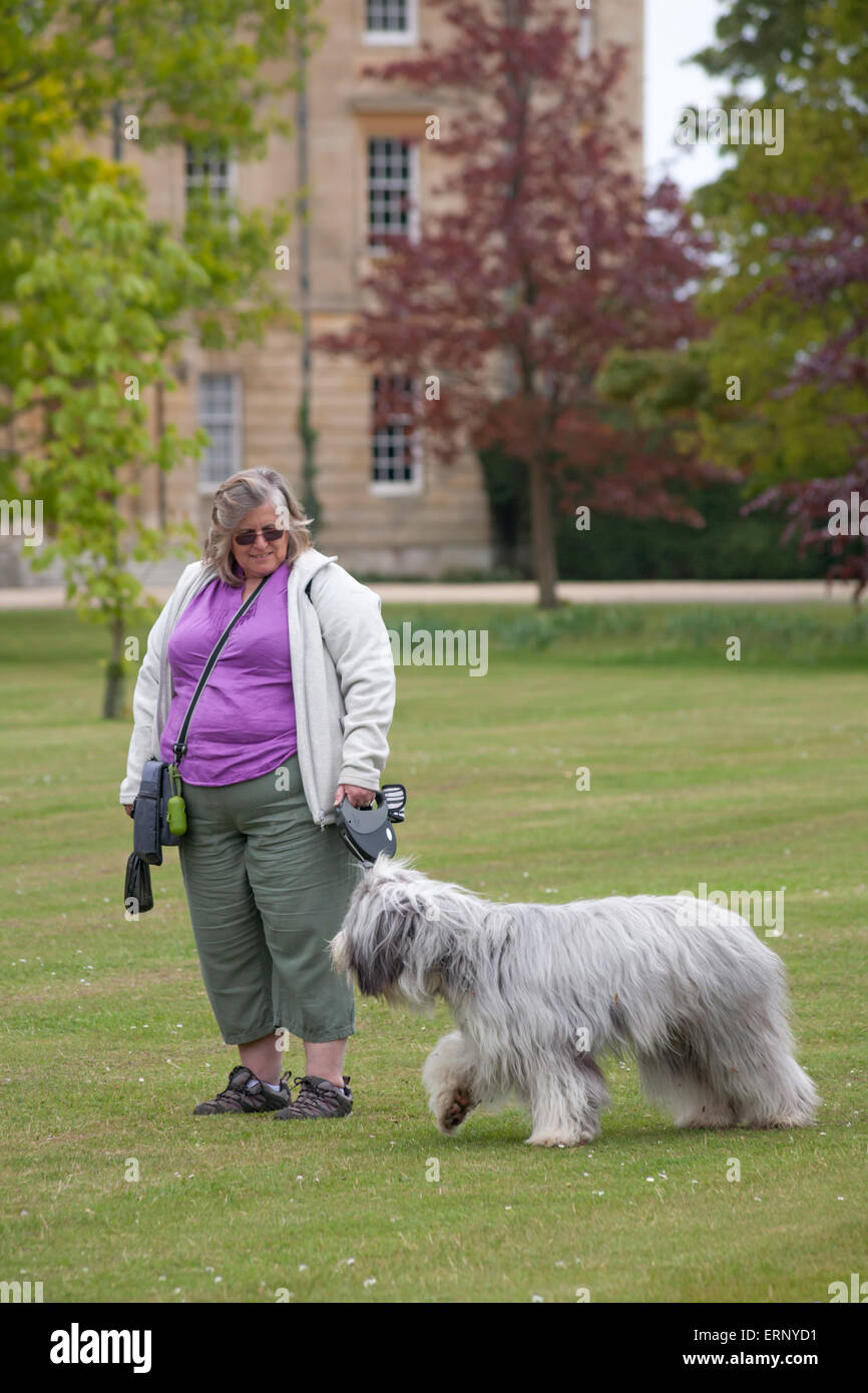 Woman old english sheepdog hi-res stock photography and images - Alamy