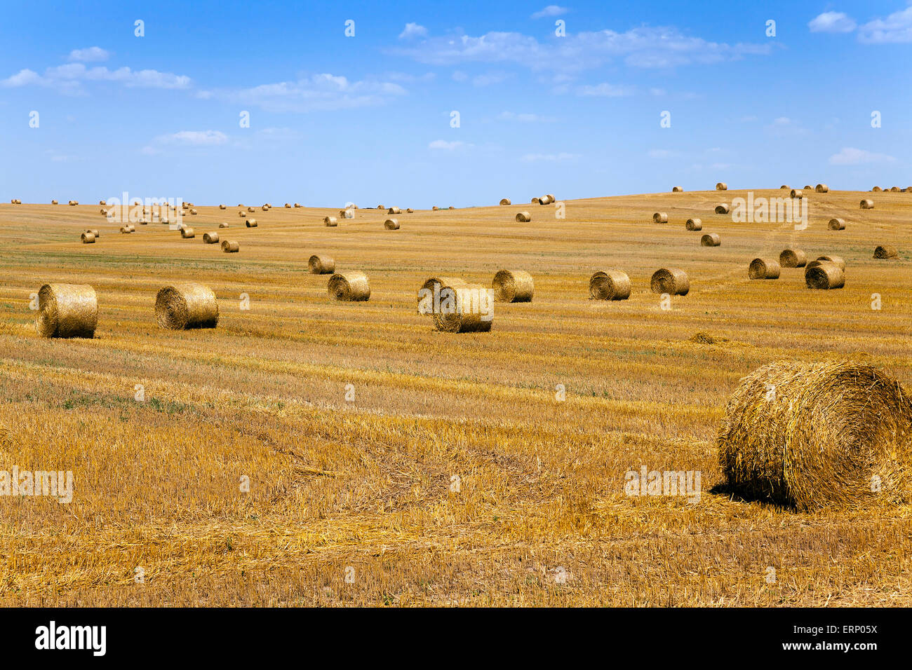 Straw stack hi-res stock photography and images - Alamy