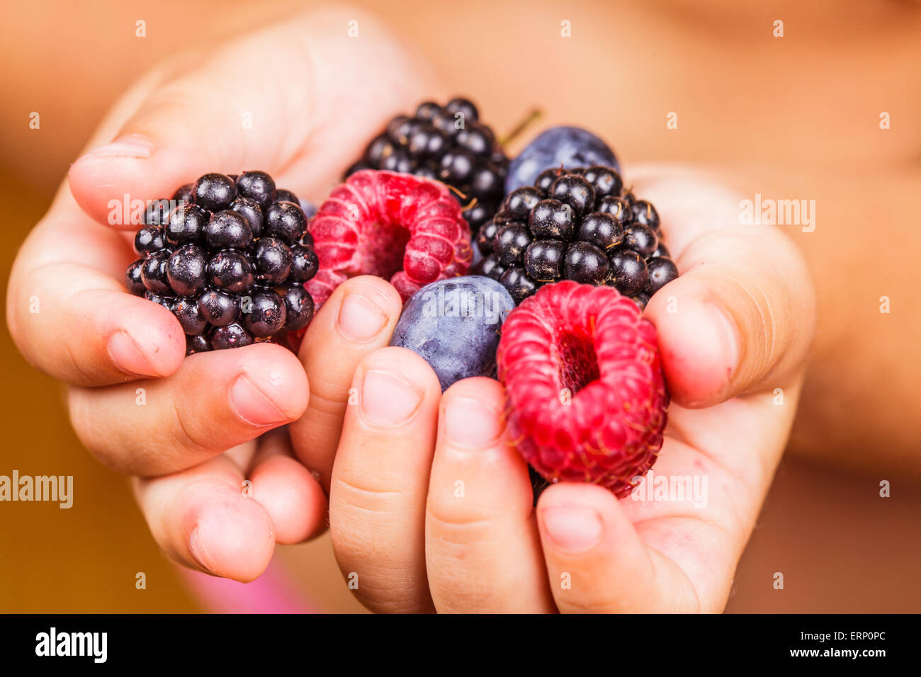 Berries in hands Stock Photo - Alamy