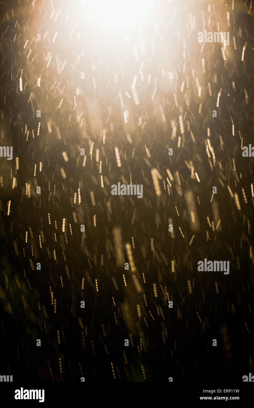 Snow and light background Stock Photo - Alamy