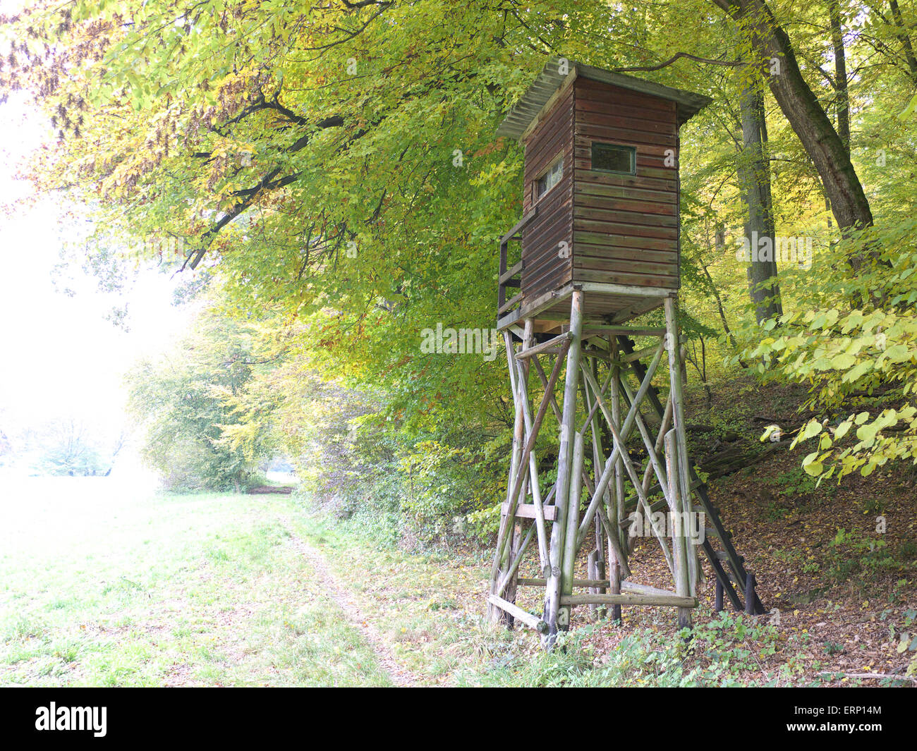 lookout in a forest Stock Photo - Alamy