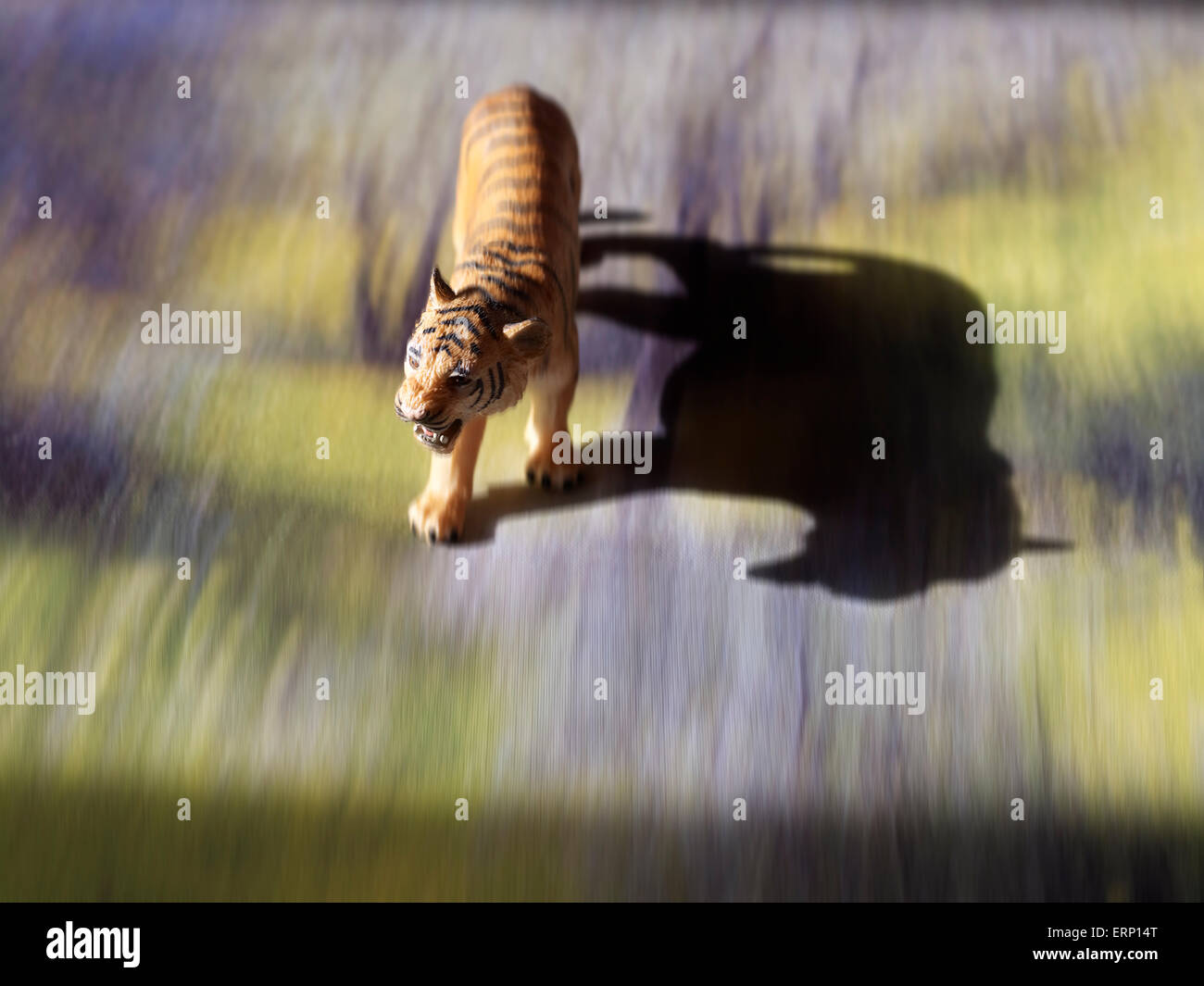 Miniature tiger hi-res stock photography and images - Alamy