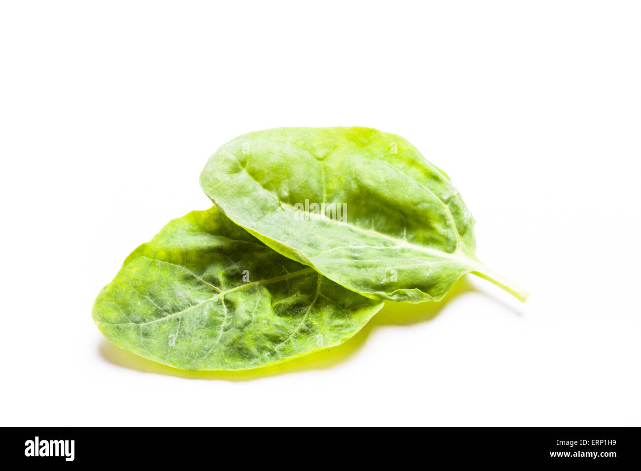 Spinach leaves isolated Stock Photo - Alamy