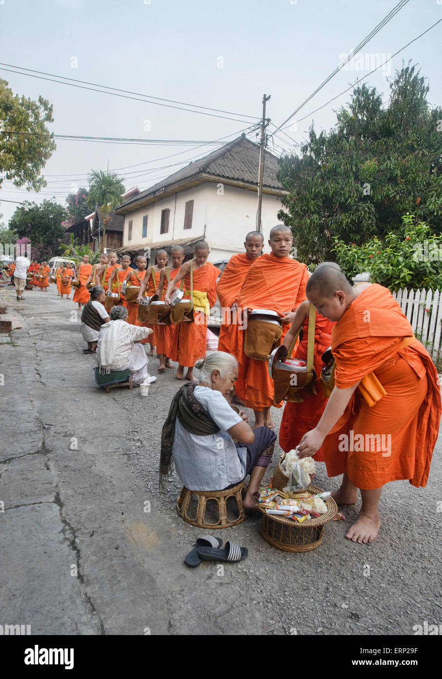 Monks on their morning alms rounds in Luang Prabang, Laos Stock Photo ...