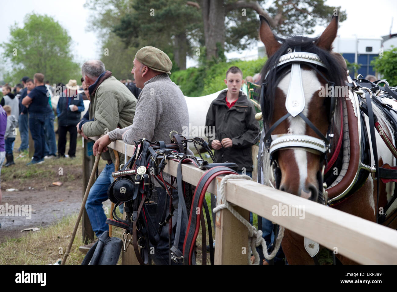 Appleby Horse Fair Cumbria UK Stock Photo - Alamy