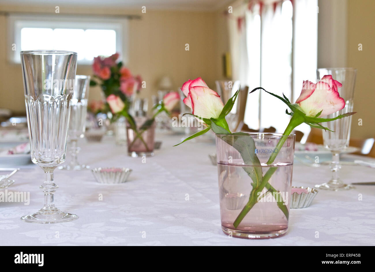 white roses with red fringed petals in a jar on a party table Stock ...