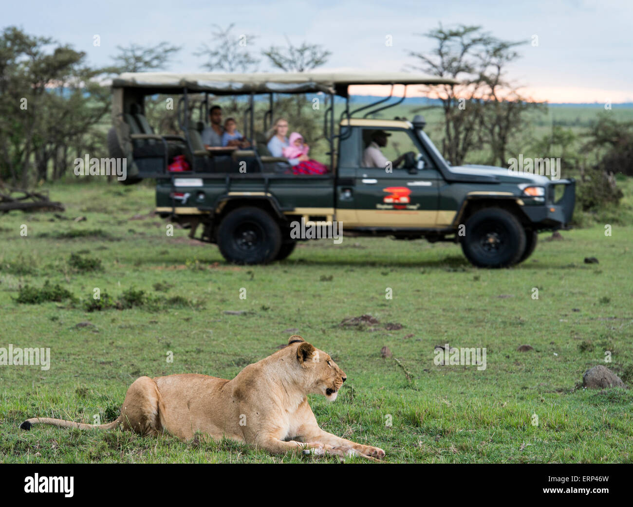 Mara North Conservancy Safari High Resolution Stock Photography and ...