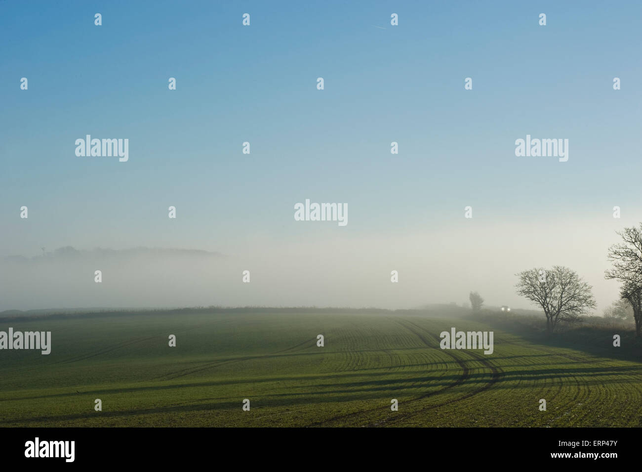 A rural foggy scene in Oxfordshire Stock Photo - Alamy
