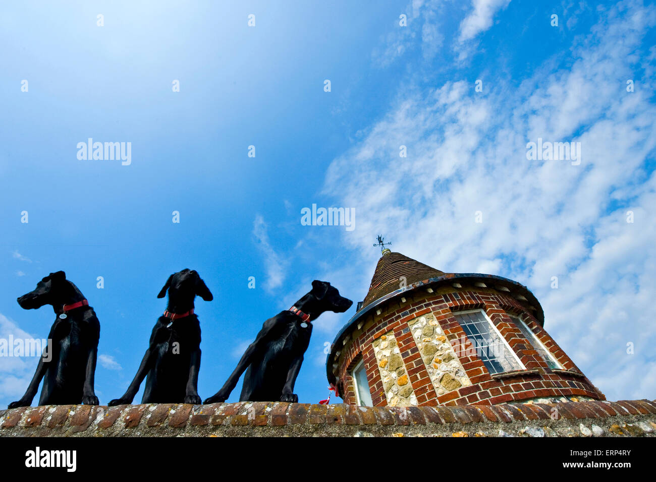Black labradors with a turret and a clear blue sky Stock Photo - Alamy