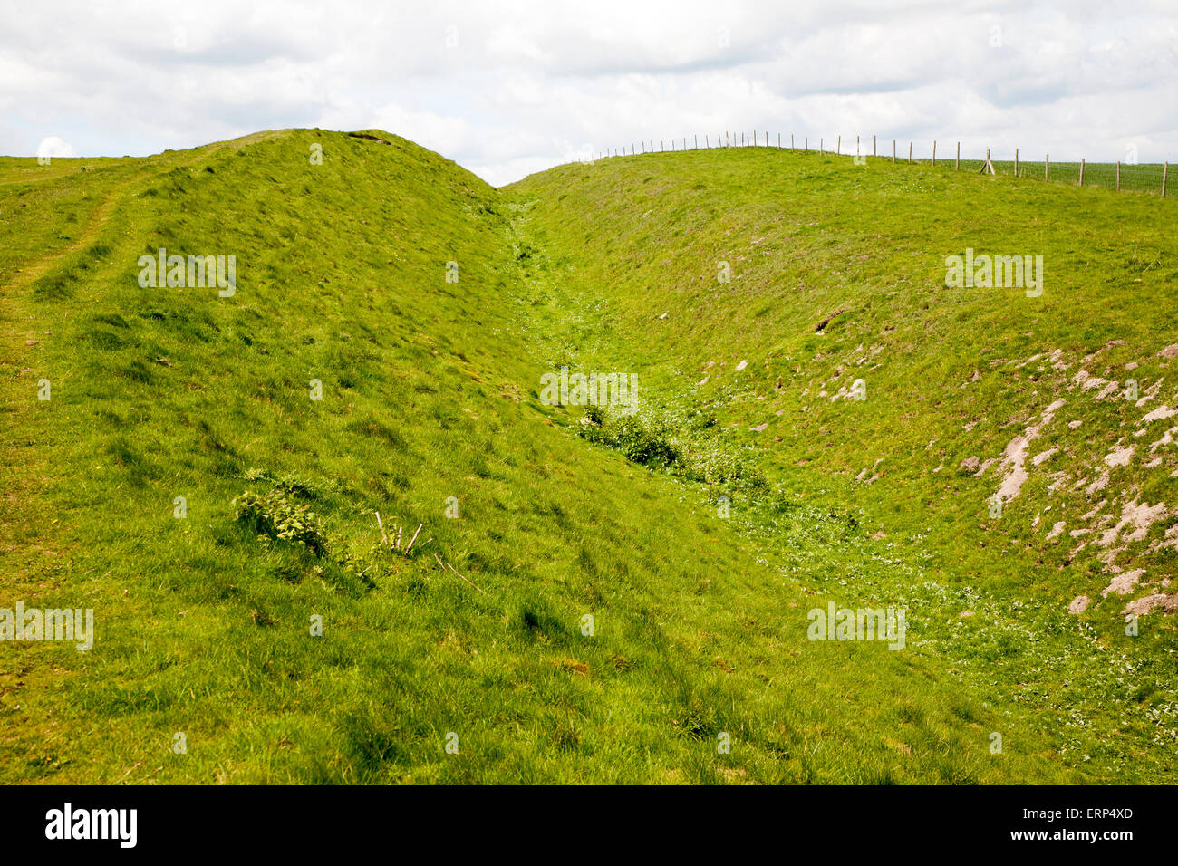 Ditch and embankment of the Wansdyke a Saxon defensive structure on All ...