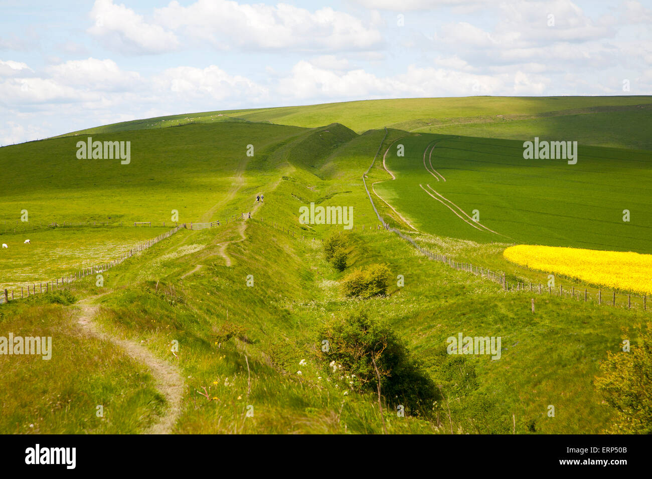 Ditch and embankment of the Wansdyke a Saxon defensive structure on All ...