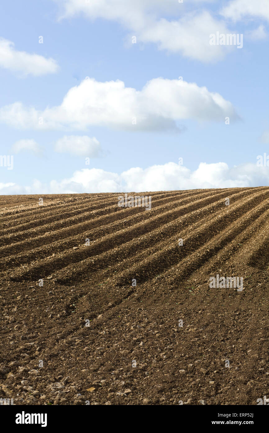 Ploughed field with large furrows Stock Photo - Alamy
