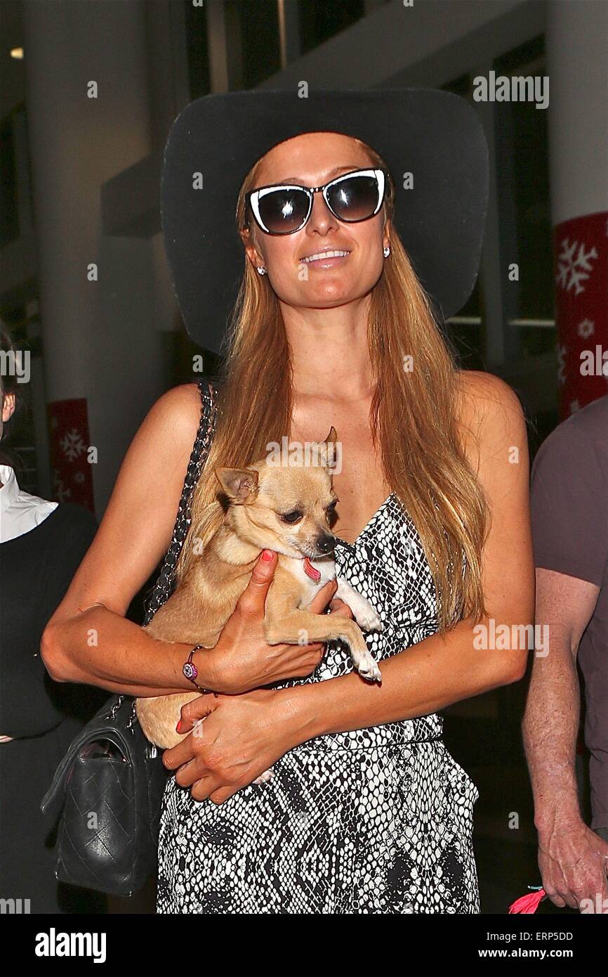 Paris Hilton takes her Chihuahua, Peter Pan on a flight as they depart ...