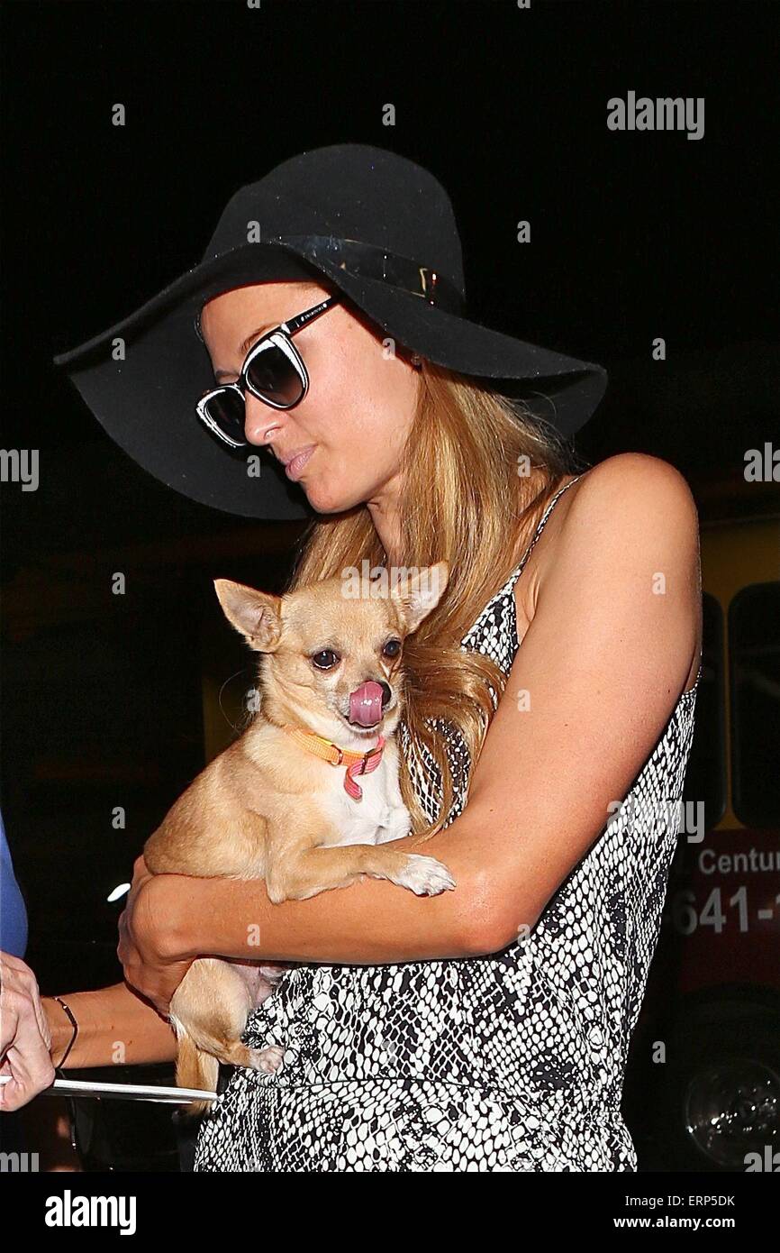 Paris Hilton takes her Chihuahua, Peter Pan on a flight as they depart ...