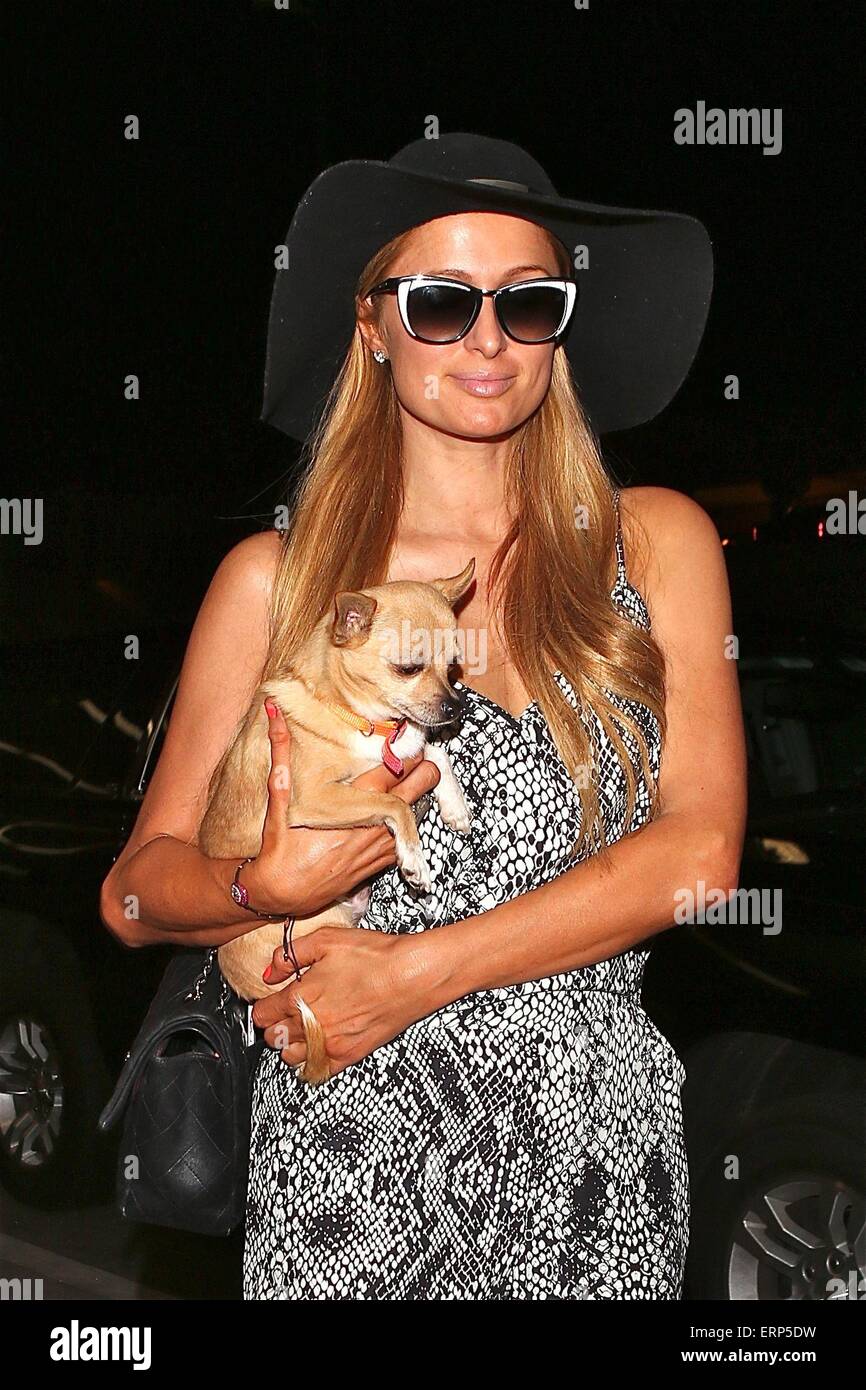 Paris Hilton takes her Chihuahua, Peter Pan on a flight as they depart ...