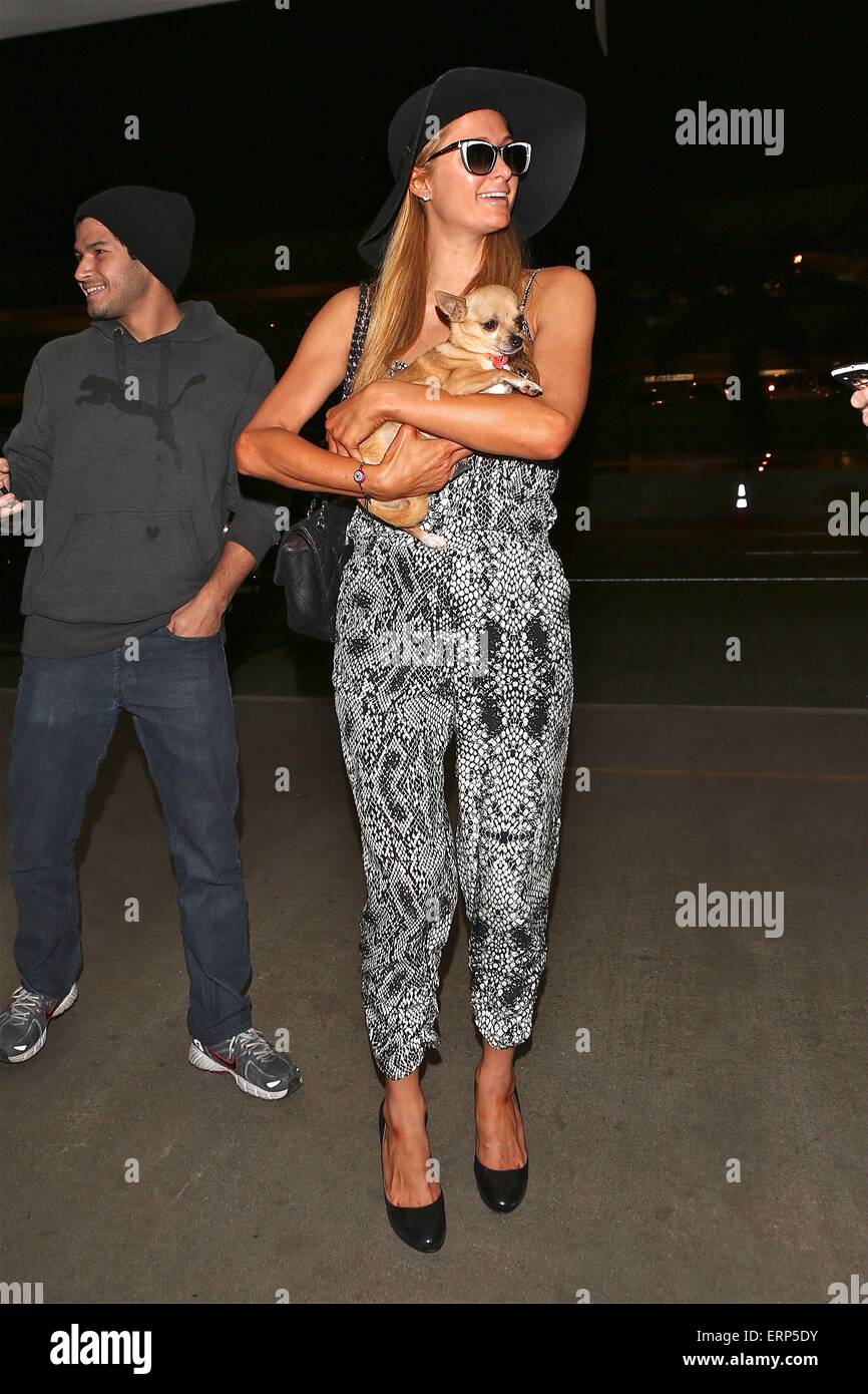 Paris Hilton takes her Chihuahua, Peter Pan on a flight as they depart ...