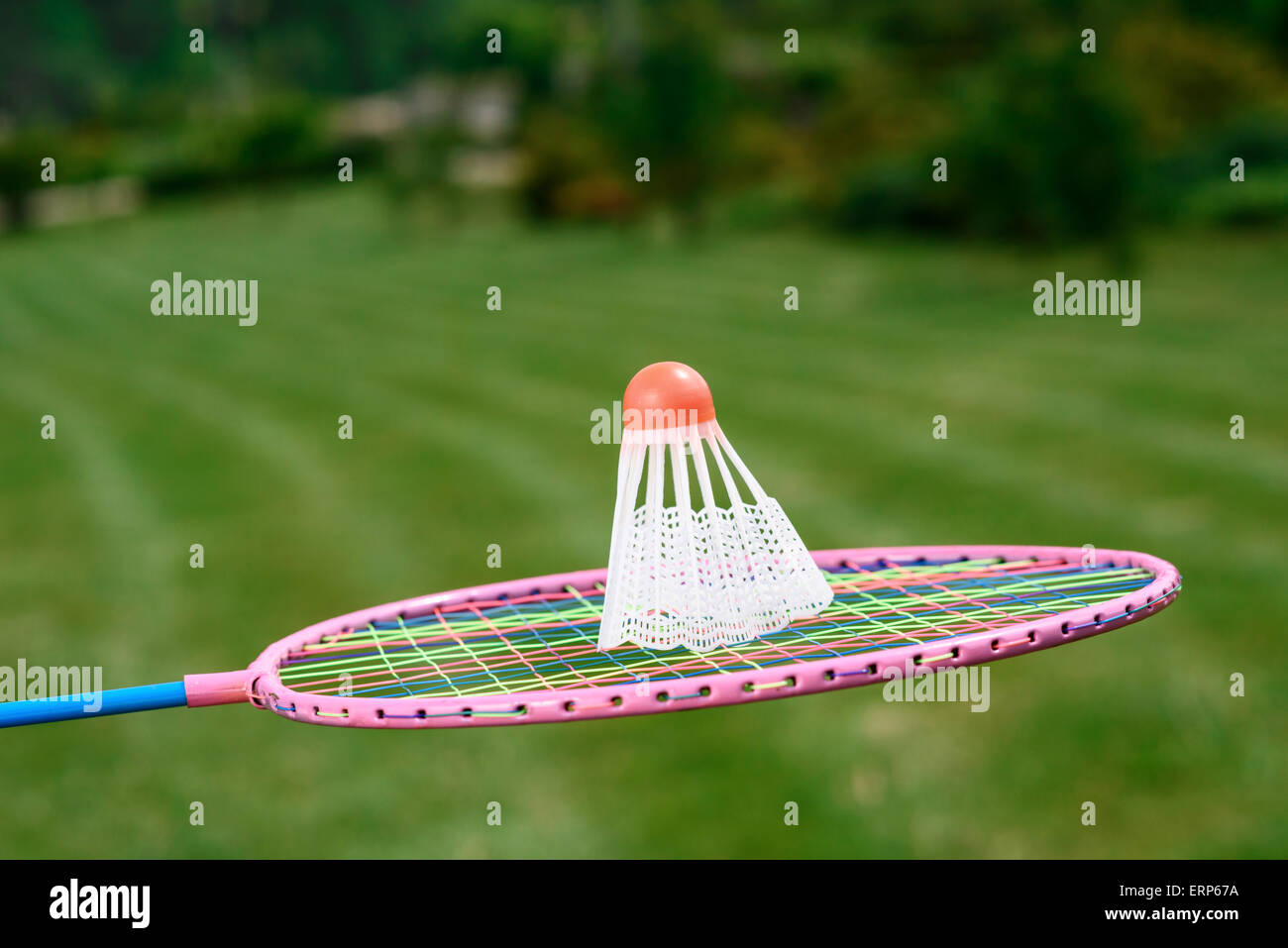 Photo of a badminton racquet Stock Photo - Alamy