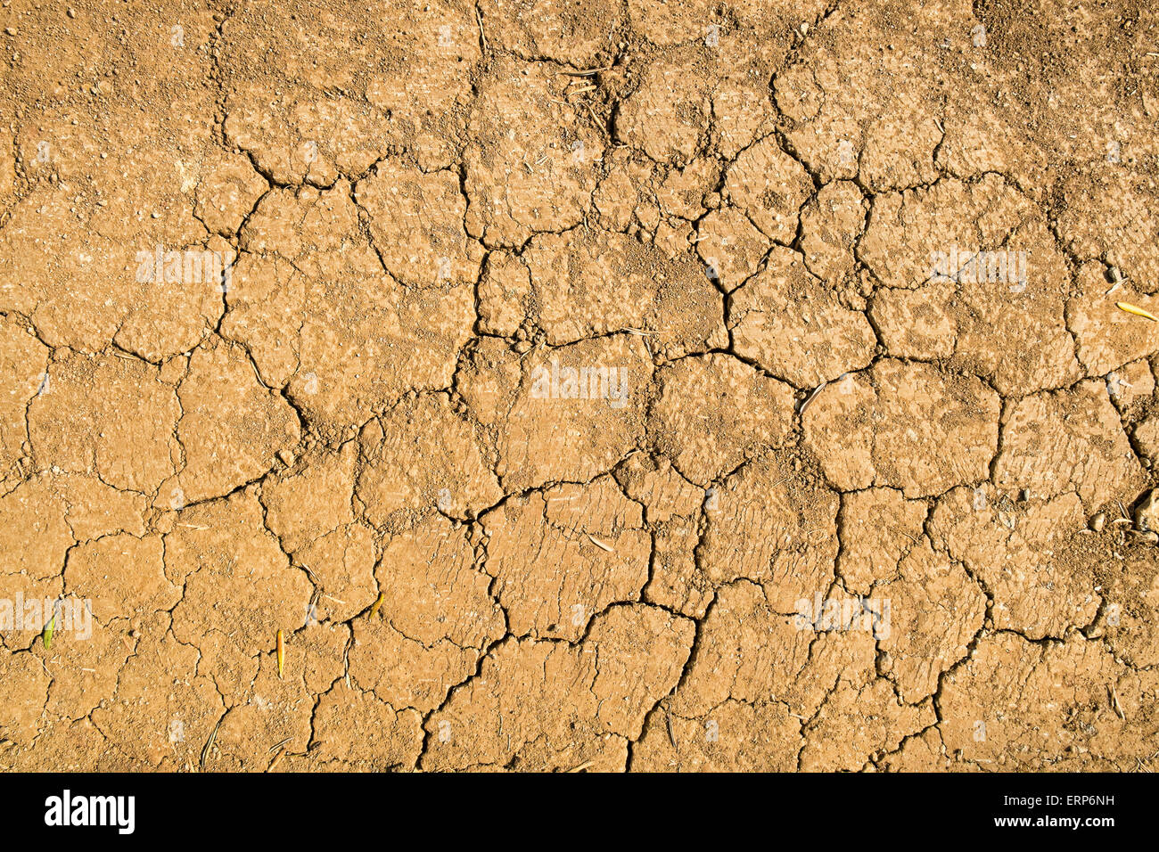 Full frame take of cracked pattern on extremely dry soil Stock Photo ...