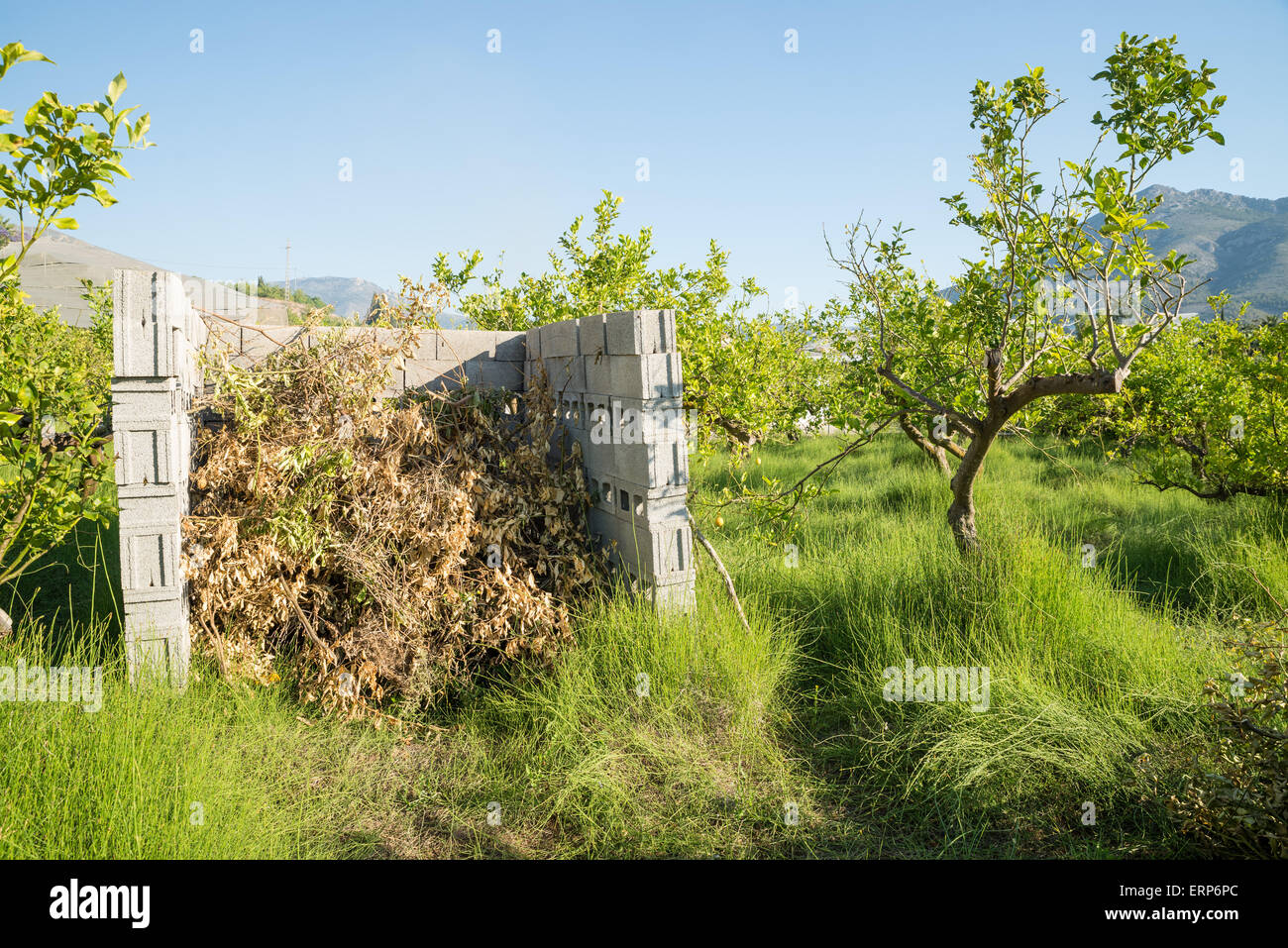 Agricultural burner made of concrete blocks and filled with waste from ...