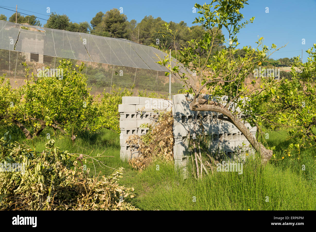 Agricultural burner made of concrete blocks and filled with waste from ...