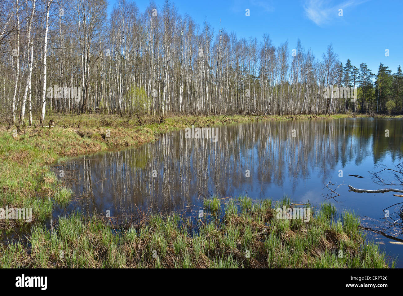 Water spring landscape. Spring landscape in the national Park of ...