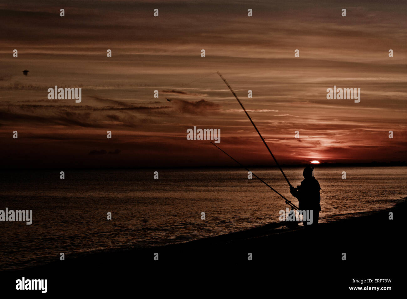 Fishing at sunset Stock Photo - Alamy