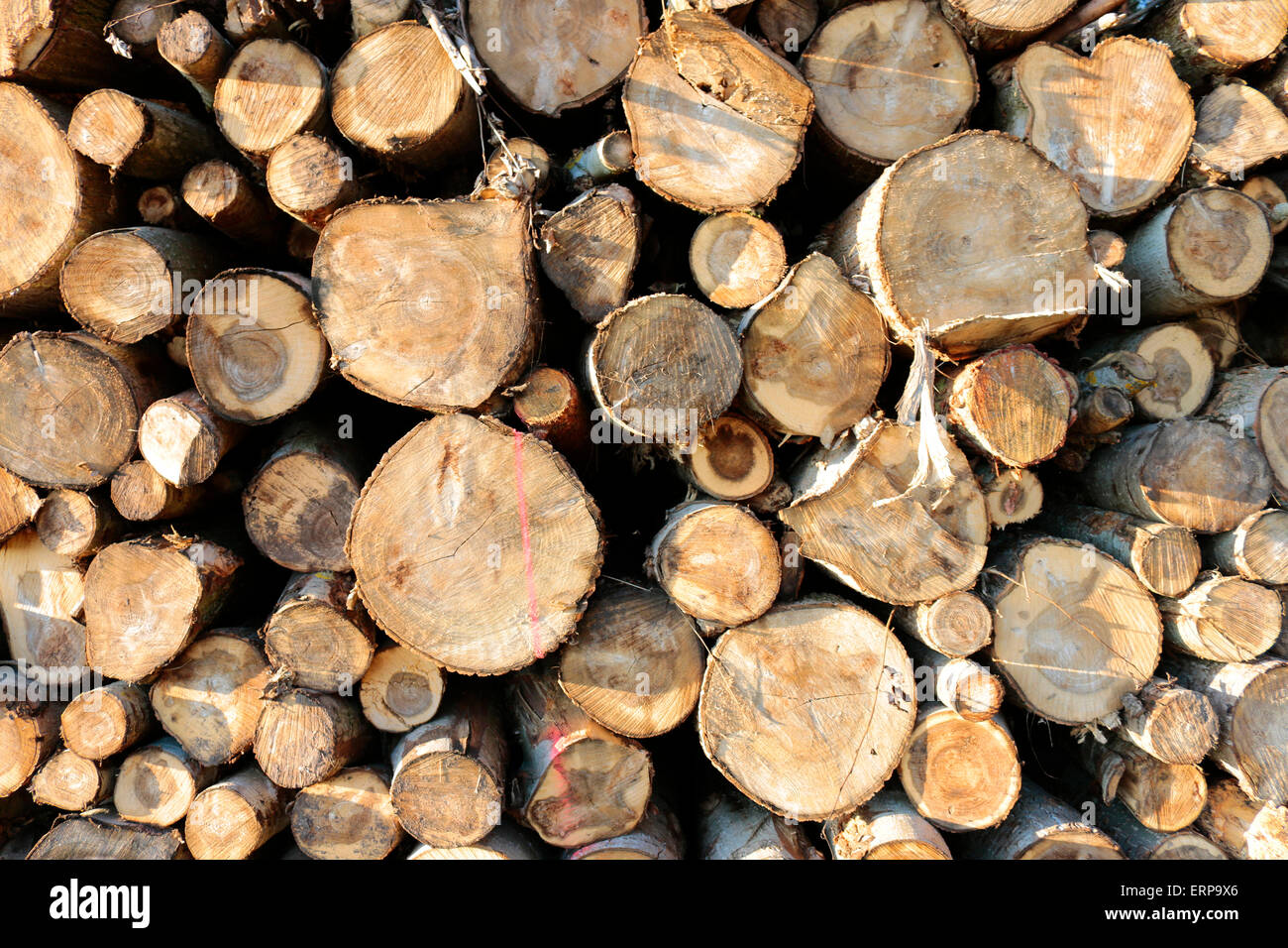 Holz brennholz hi-res stock photography and images - Alamy